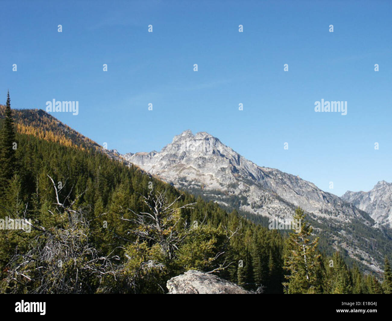 Trapper peak hi-res stock photography and images - Alamy