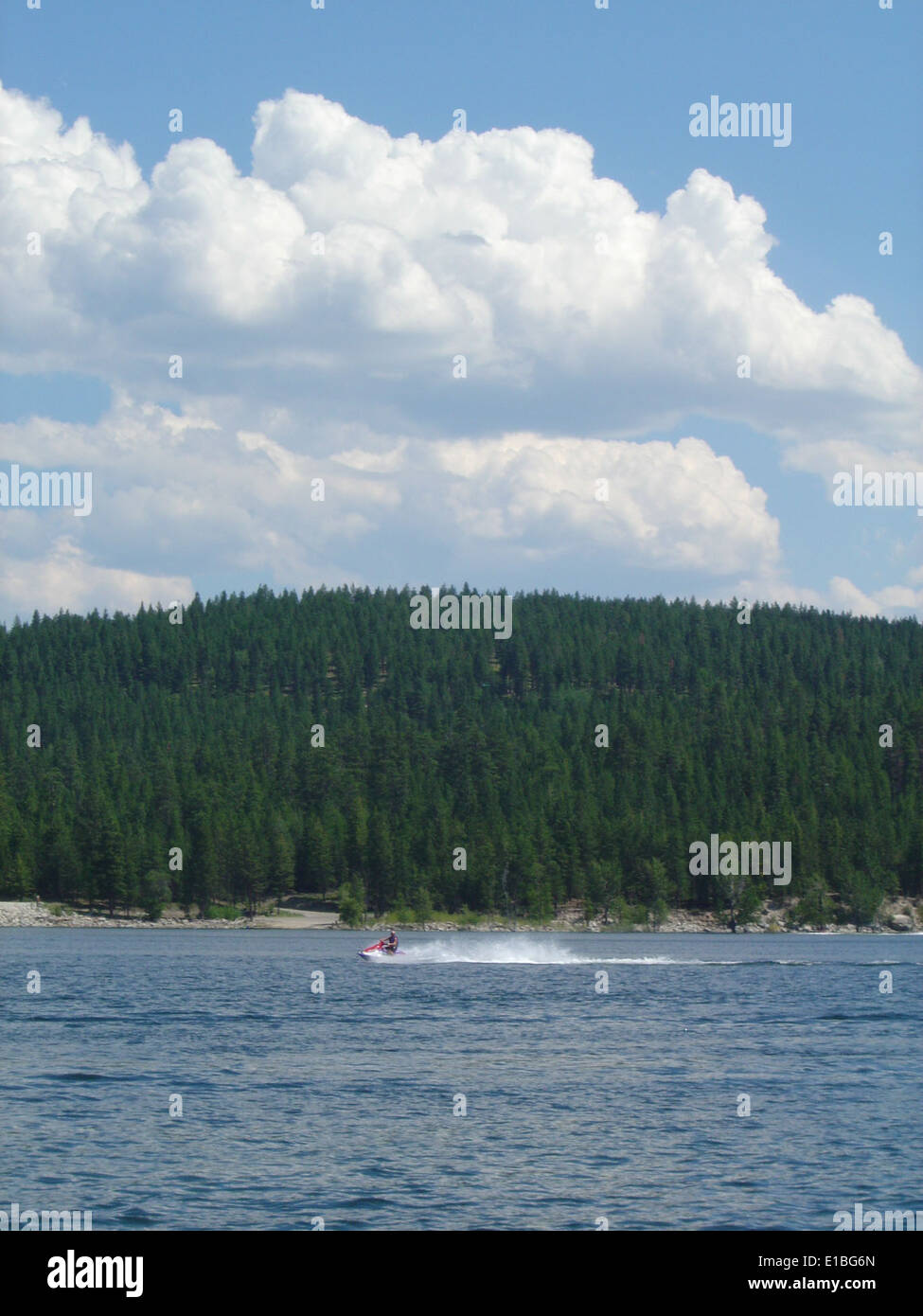 The image from 2005 shows a snapshot of Forest Service operations ...