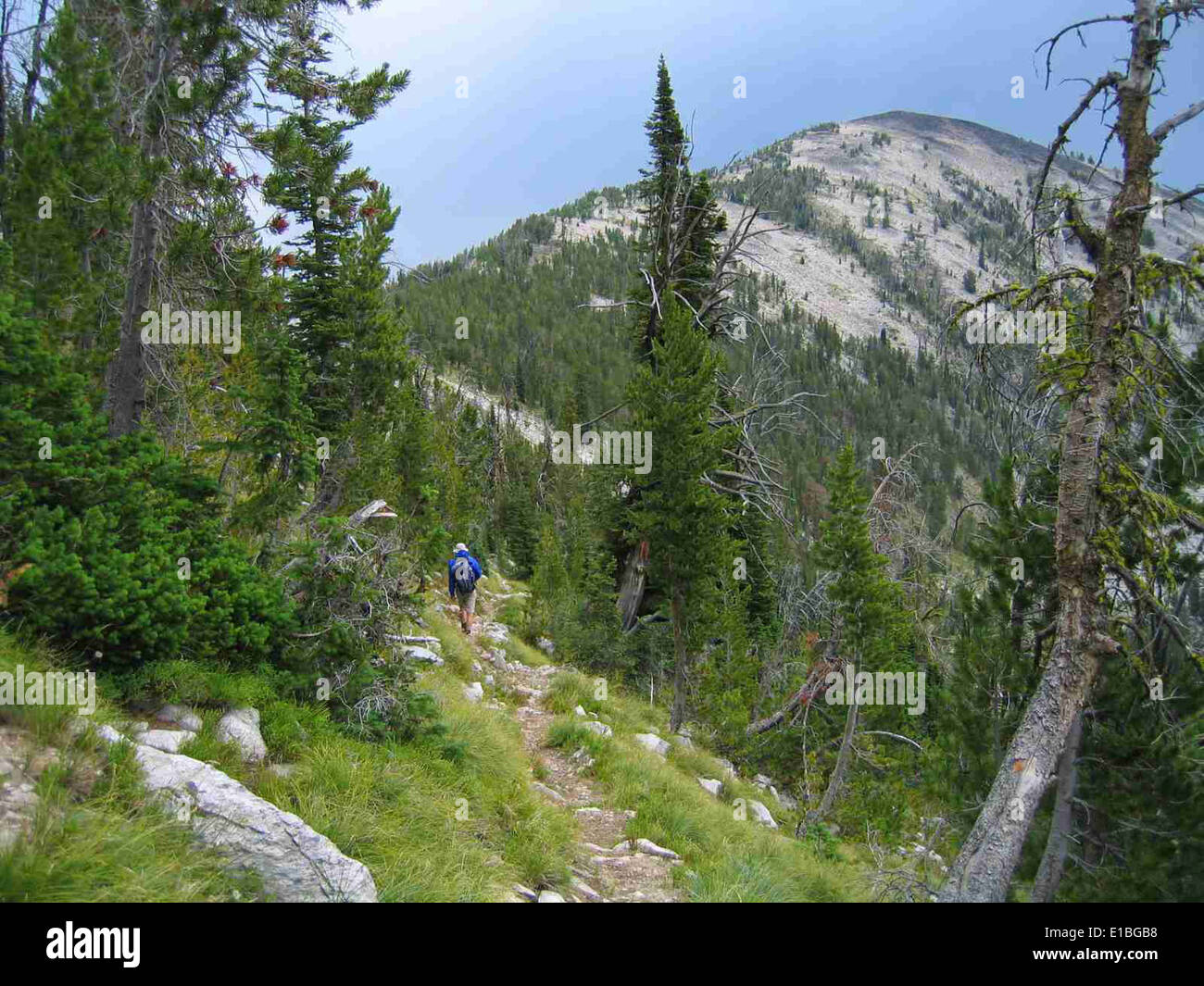 Allan Mountain is a notable peak in the region, offering scenic views ...