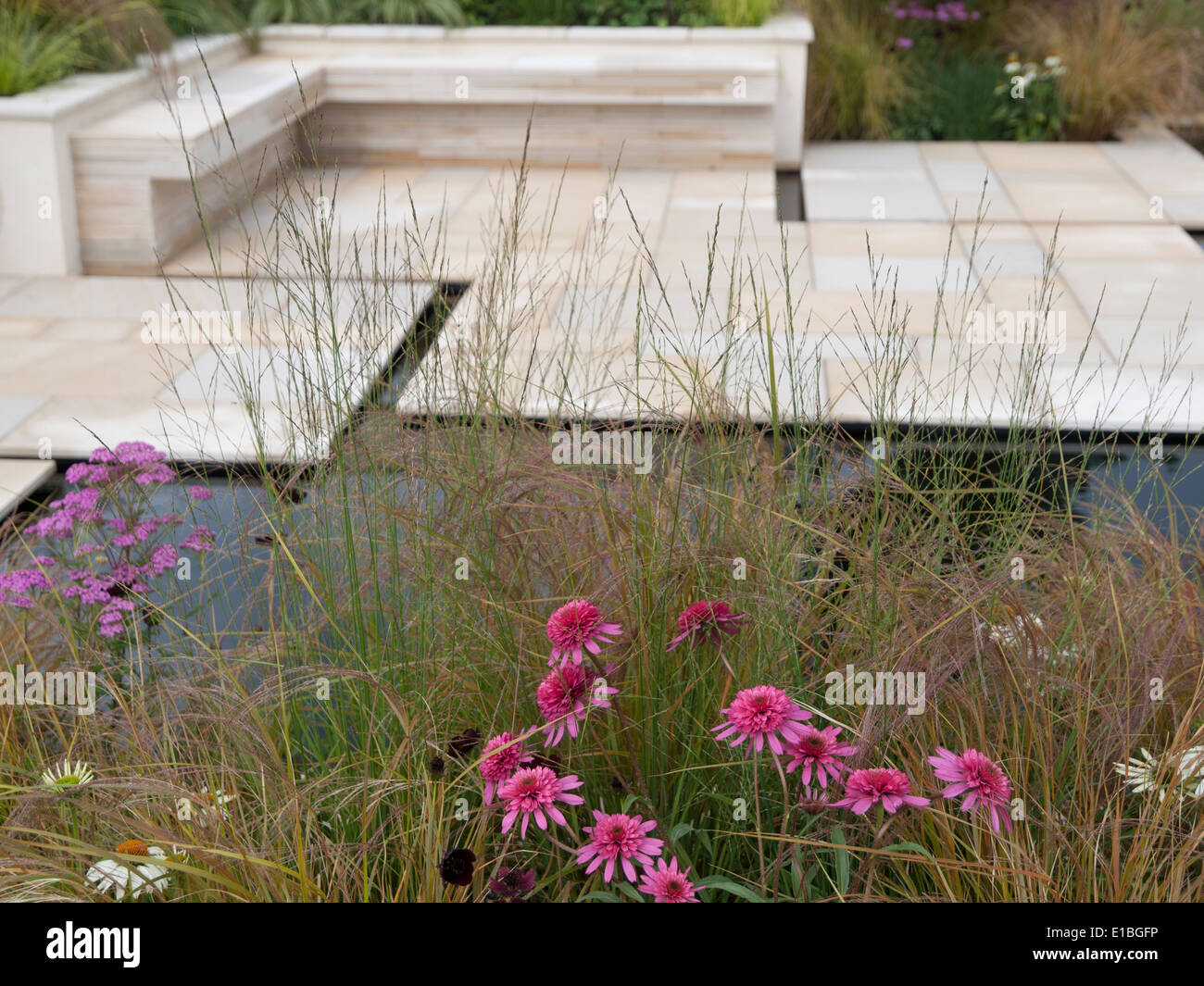 RHS Tatton Park flower show 2013 Stock Photo - Alamy