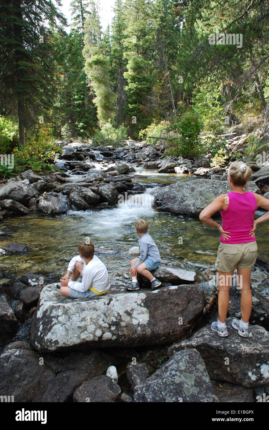 A family enjoys the peaceful surroundings of a creek, exploring the ...