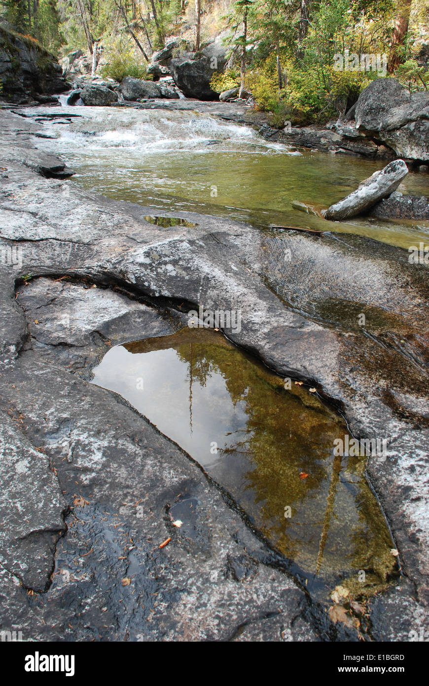 Bear Creek, a vital waterway in the region, serves as an important ...