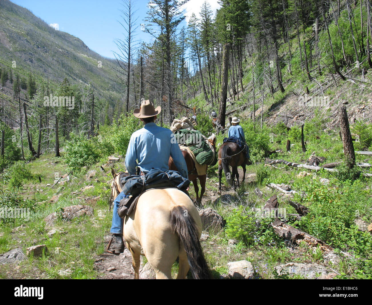 The Bob Marshall Trail offers a scenic route for horseback riding and ...