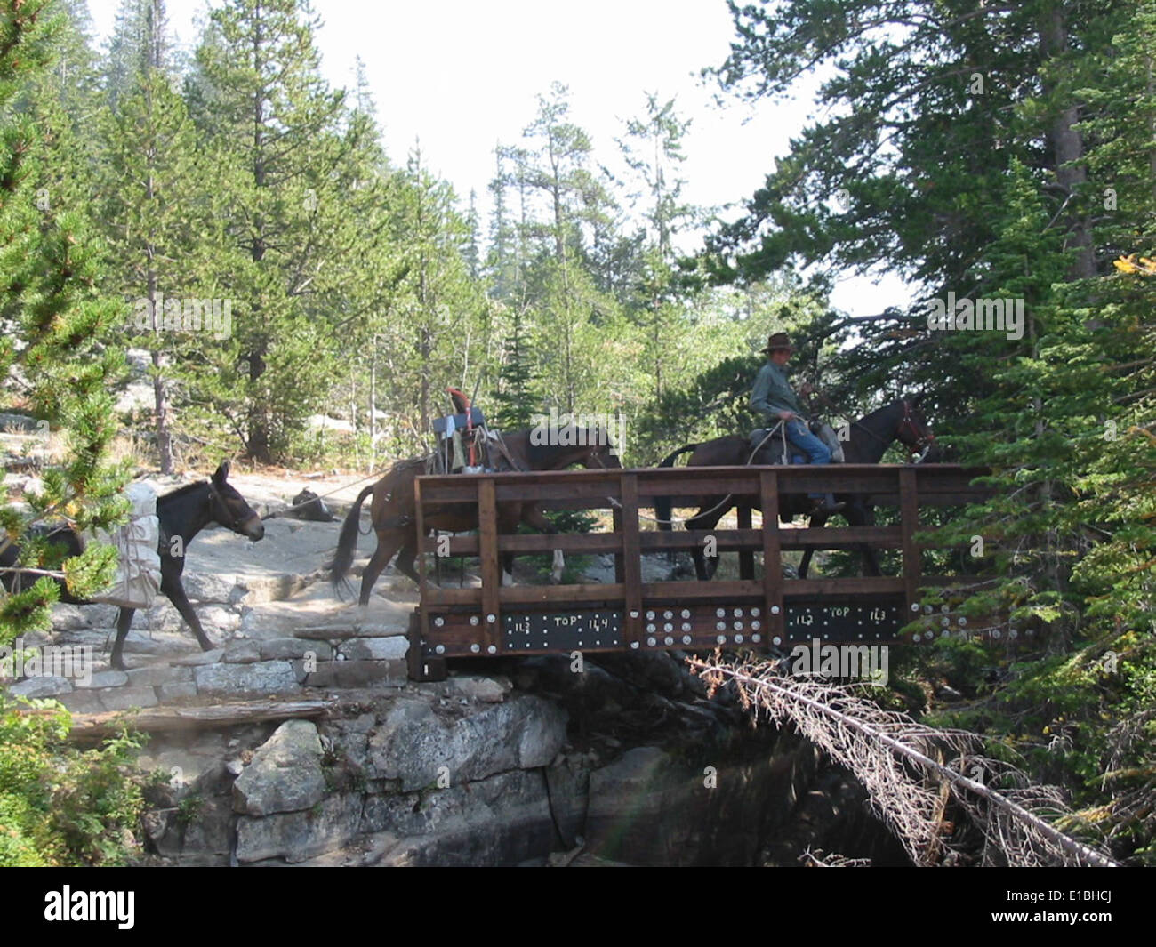 Packstrings hi-res stock photography and images - Alamy