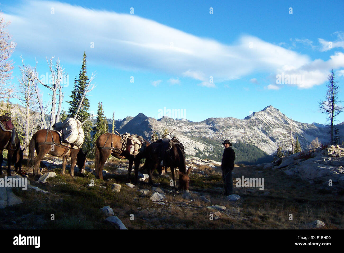 Pack string recreation in the Bitterroot Mountains involves hiking with ...