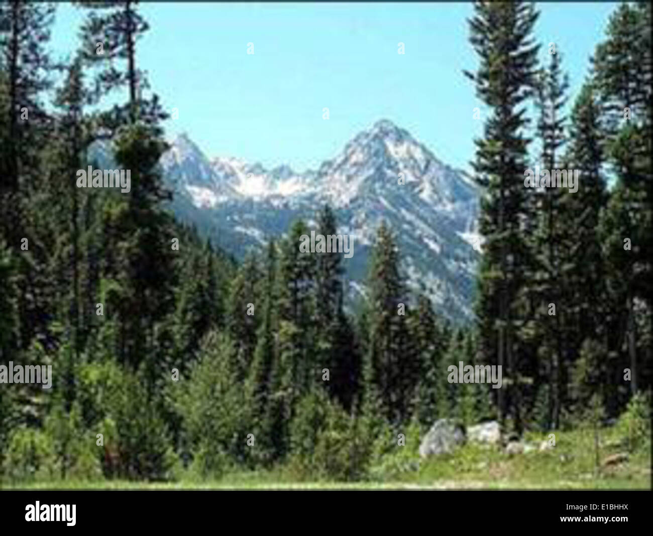 Trapper peak hi-res stock photography and images - Alamy