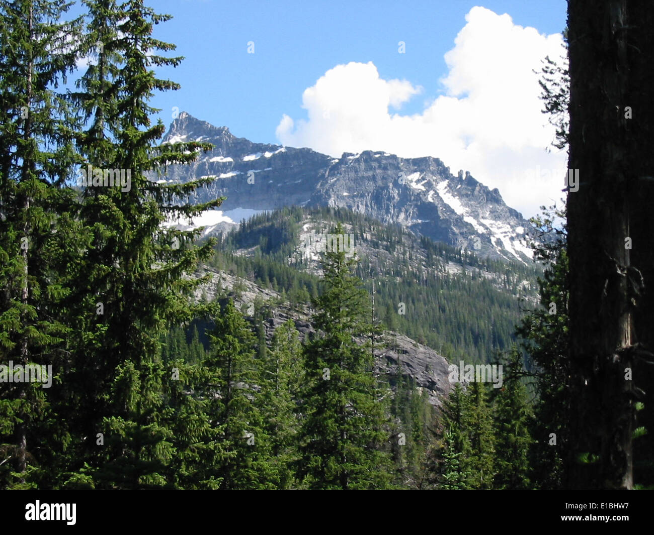 The North Face of El Capitan, located in Bitterroot Lakes, West Fork ...