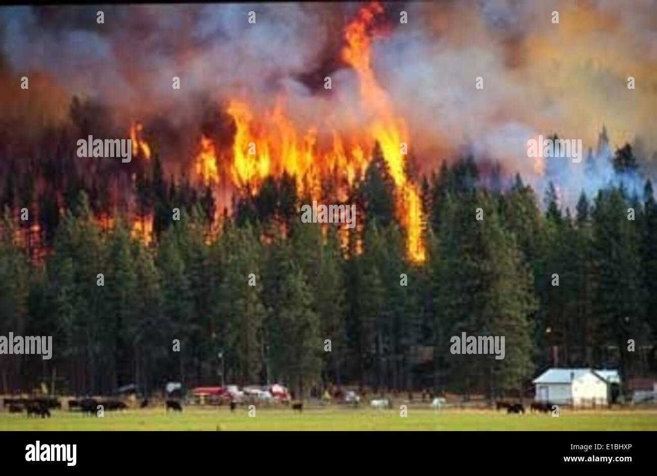 A wildfire burns near a ranch, highlighting the challenges of fire ...