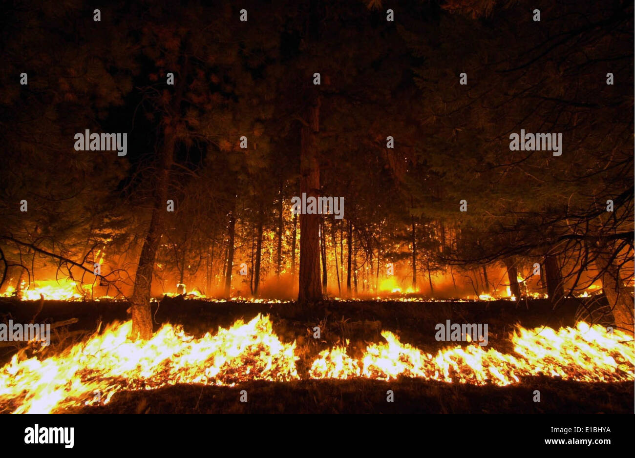 A backburn technique was used during wildfire control operations to ...
