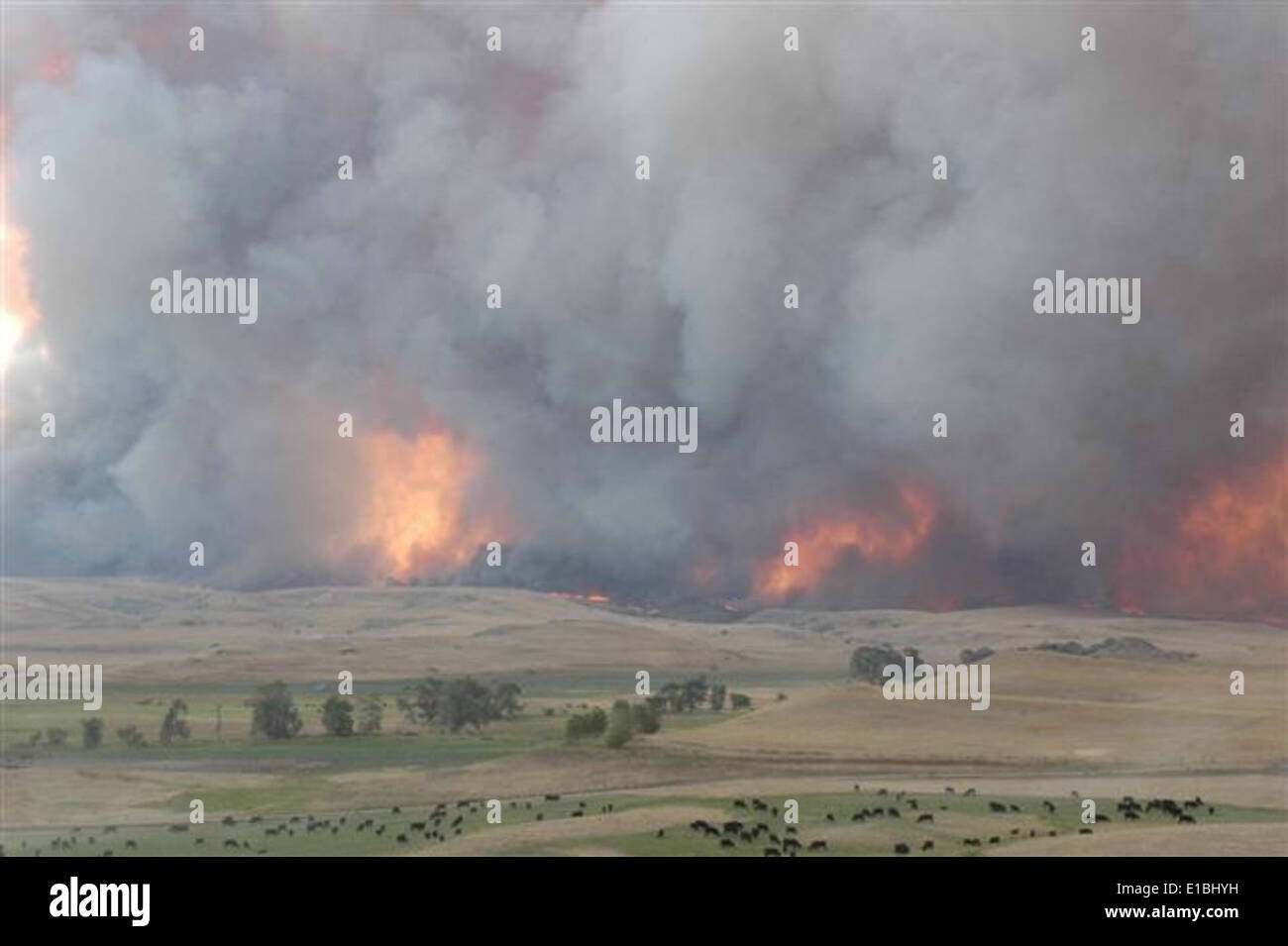 Derby fire hi-res stock photography and images - Alamy