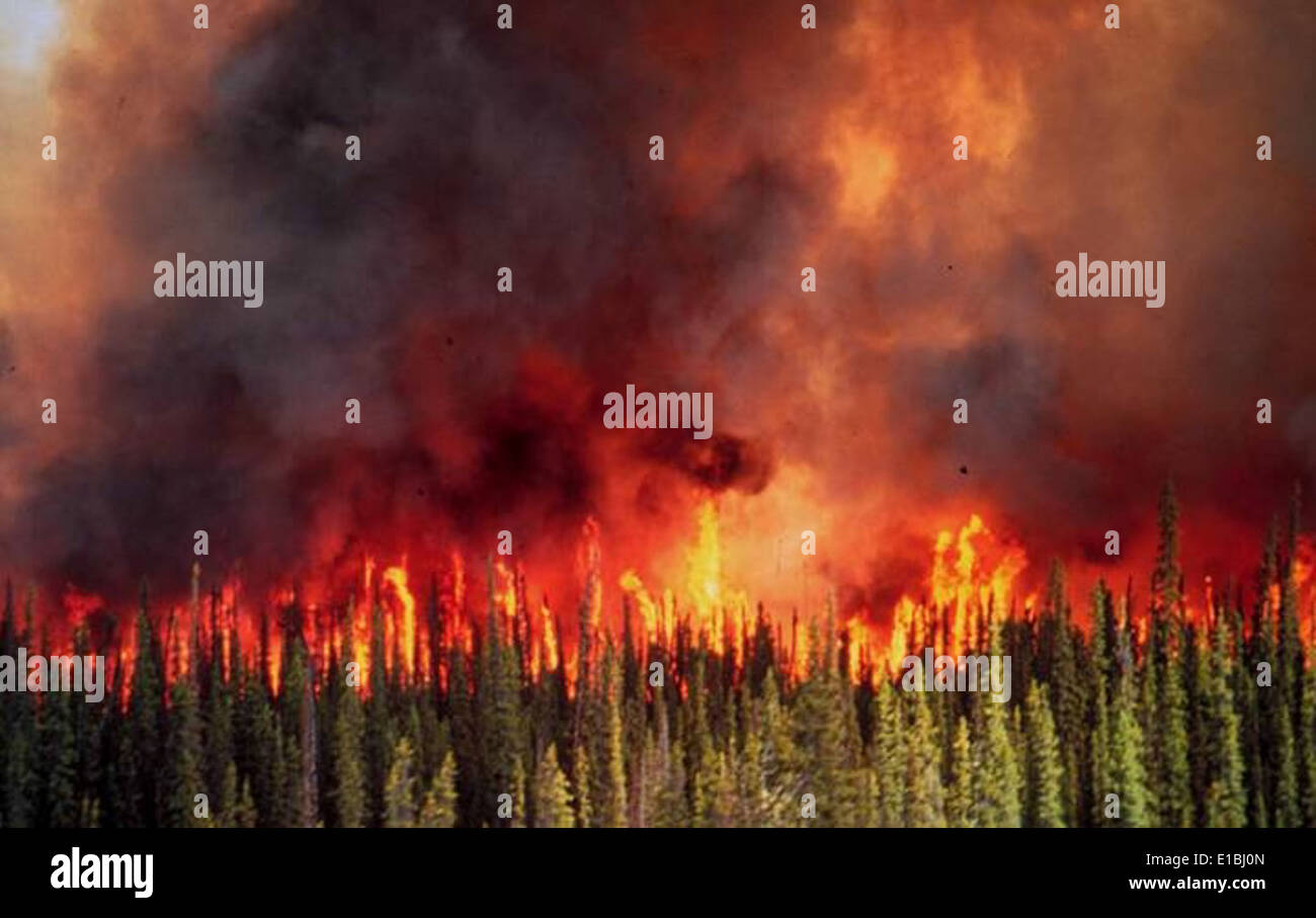 Crown fire fire hi-res stock photography and images - Alamy