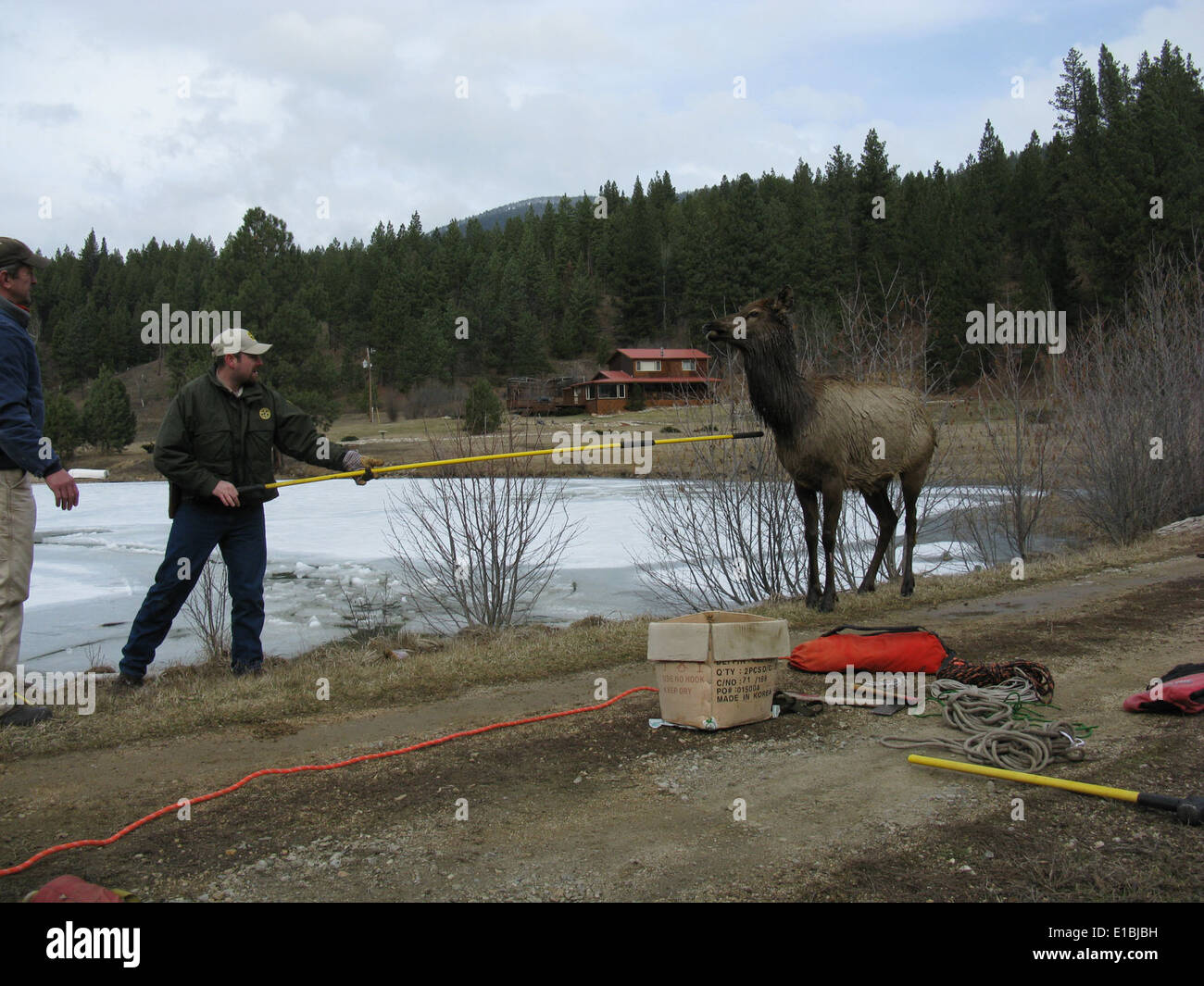 The Bitterroot National Forest in Montana is home to a variety of ...