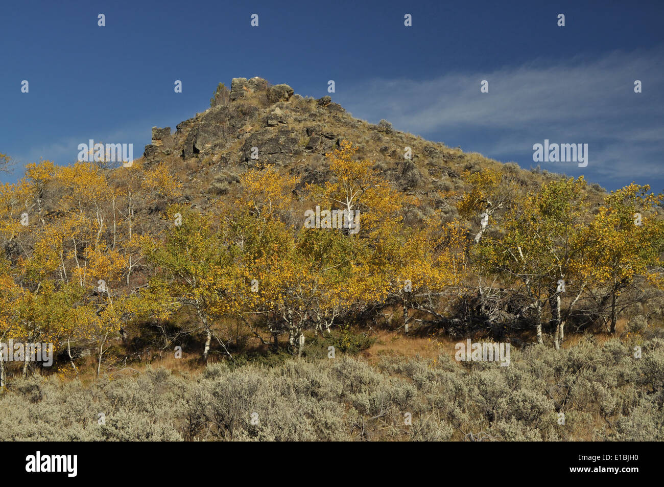 The fall colors in Beaverhead-Deerlodge National Forest, captured by ...