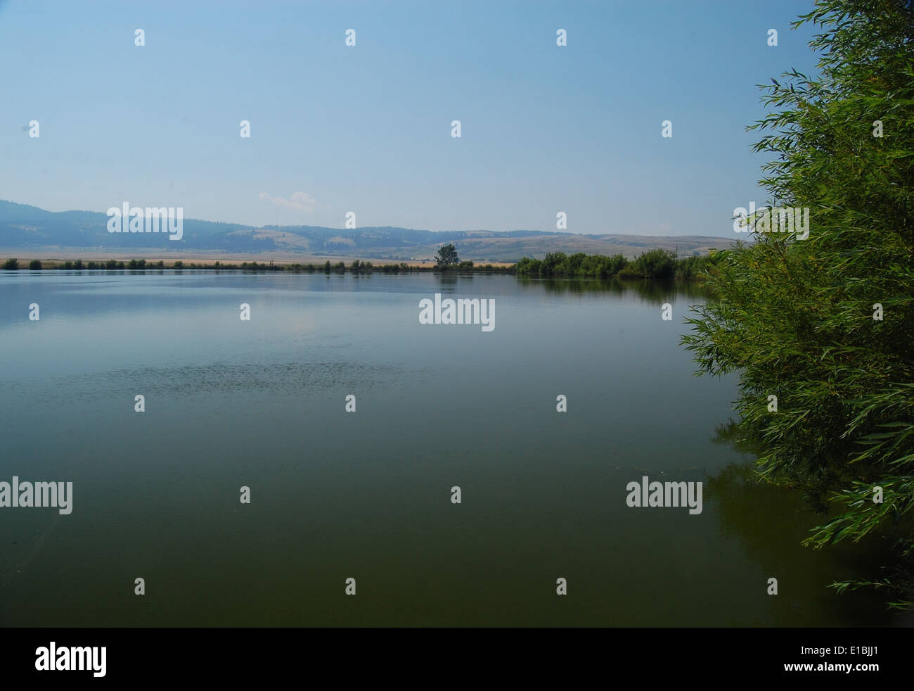 Tolo lake idaho hi-res stock photography and images - Alamy