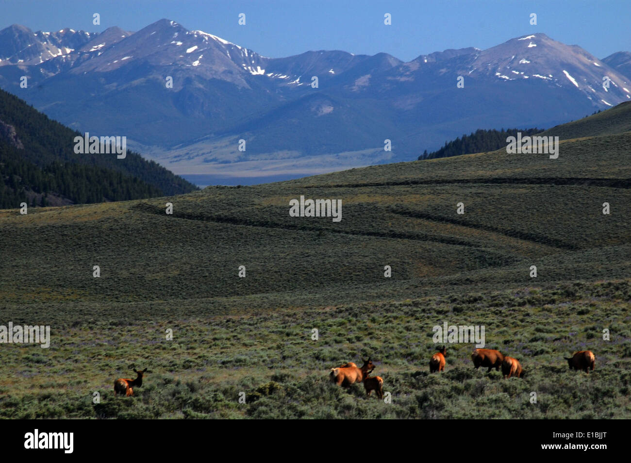 The image depicts the rugged terrain of Bannock Pass, part of the ...