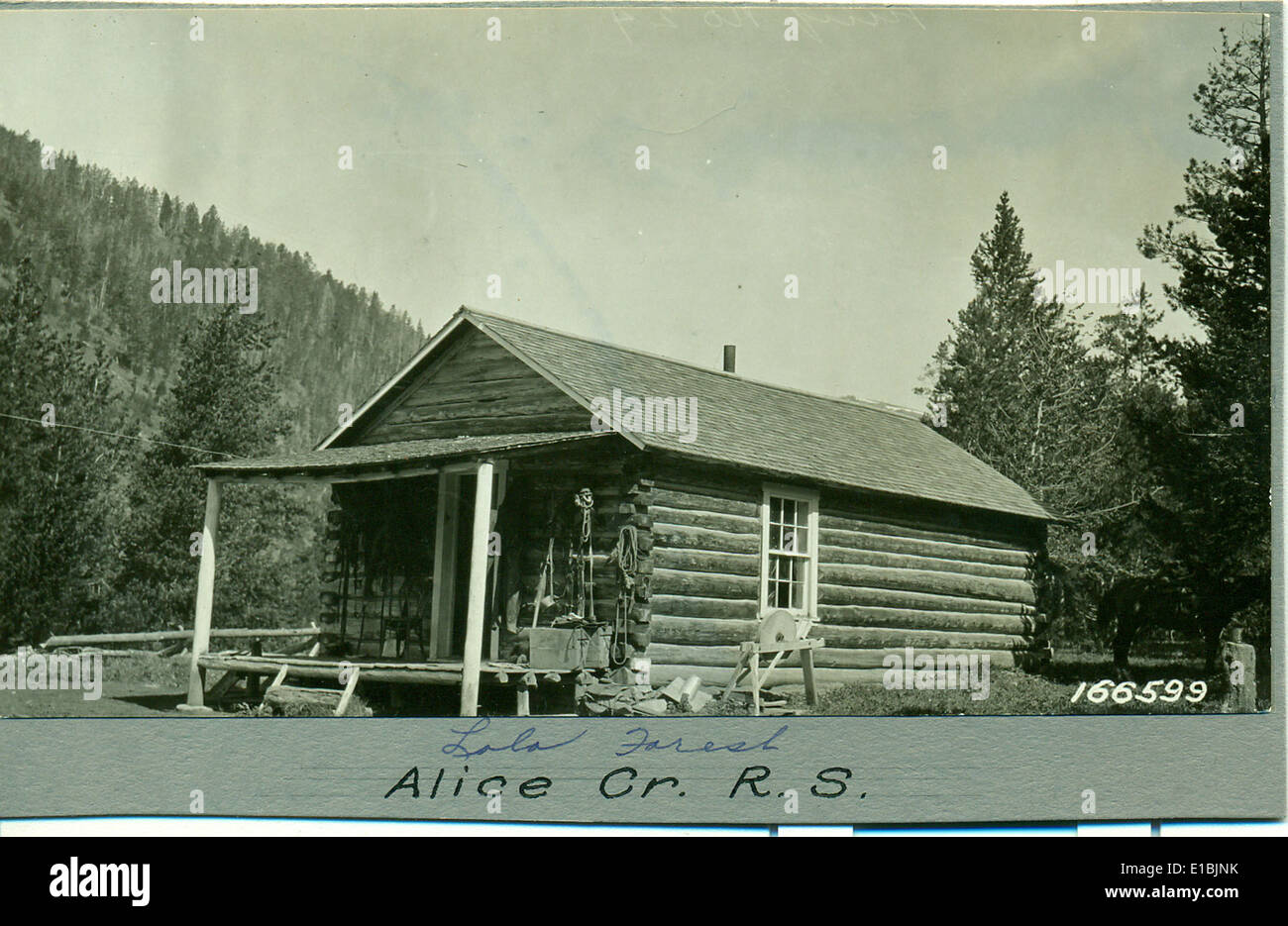 The Alice Creek Forest Service Ranger Station in Helena National Forest ...