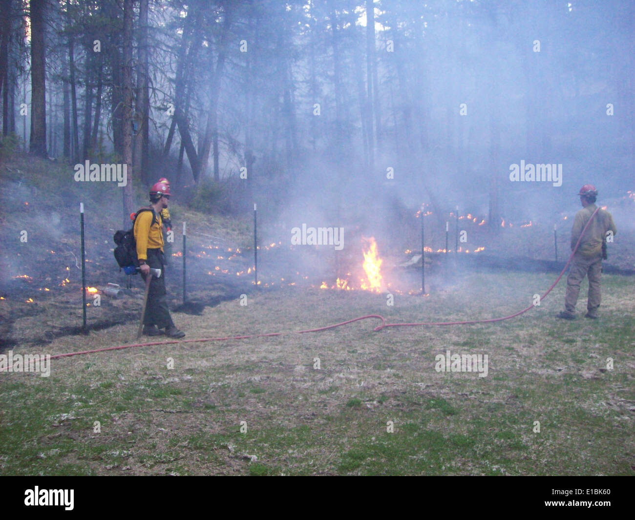 Prescribed fire conducted in the West Fork Ranger District is a forest ...