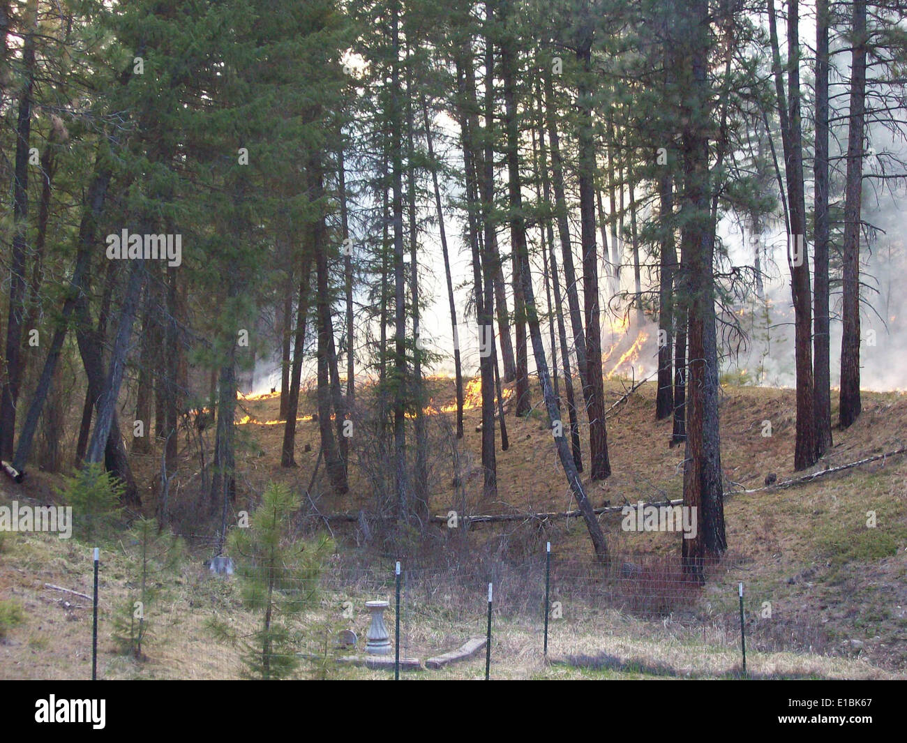 The West Fork Ranger District, located in a national forest, conducted ...