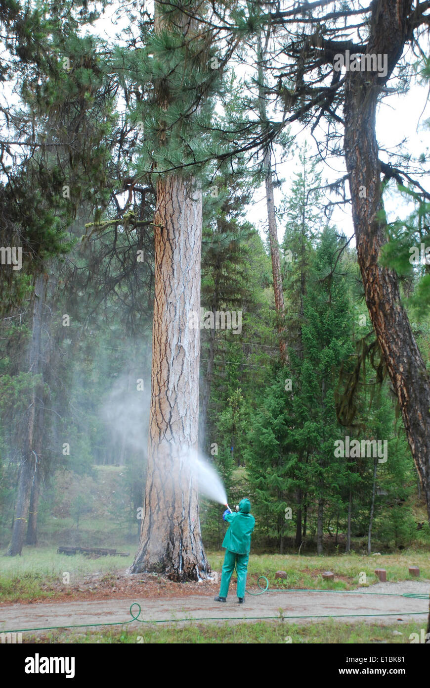 In 2011, carbaryl spraying was conducted at Alta Campground in the ...