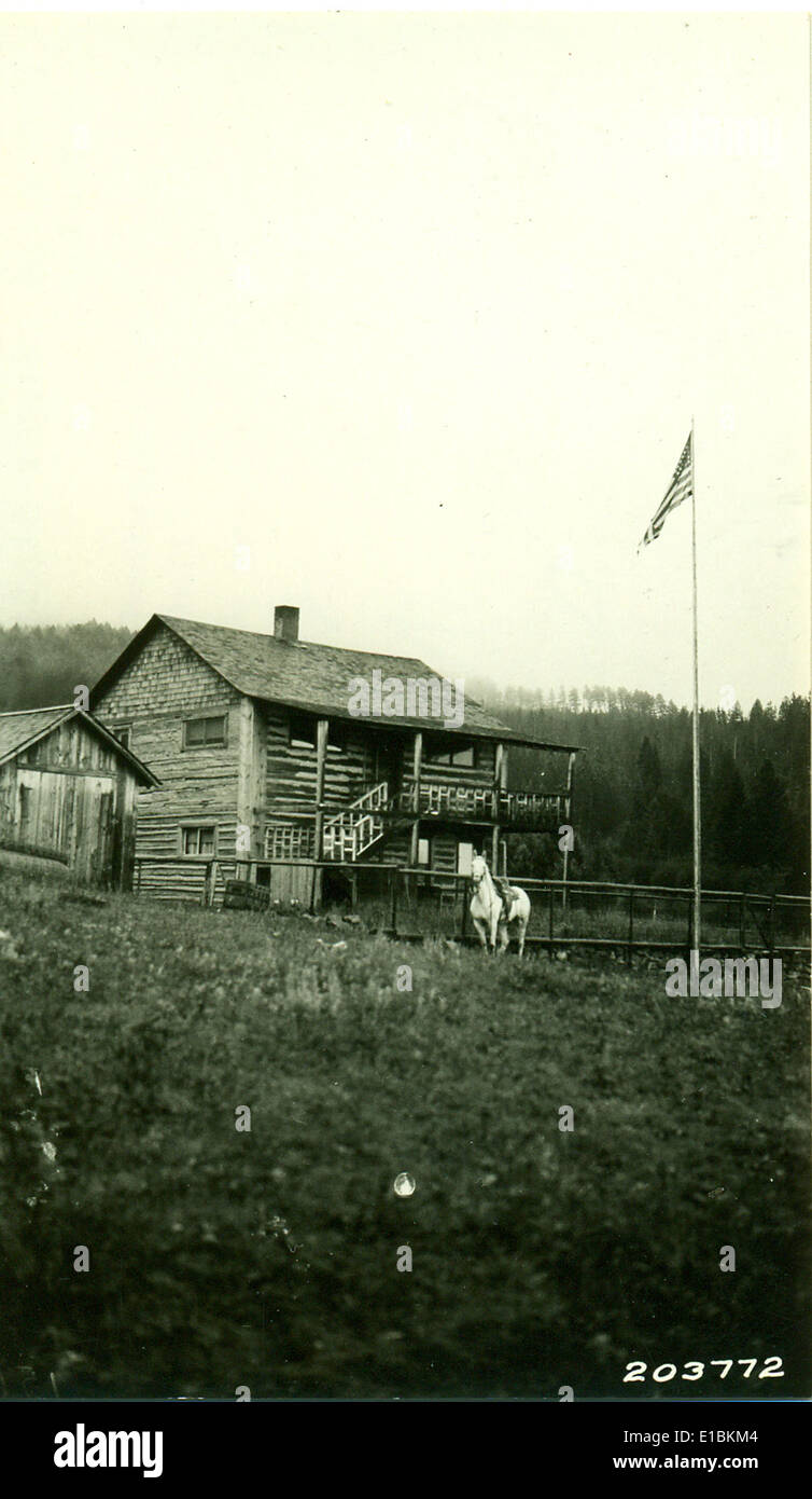 Distinctive quills hi-res stock photography and images - Alamy