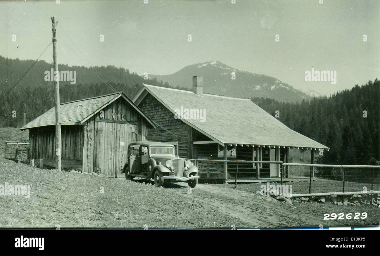 A historic photograph of a porcupine from 1935, providing insight into ...