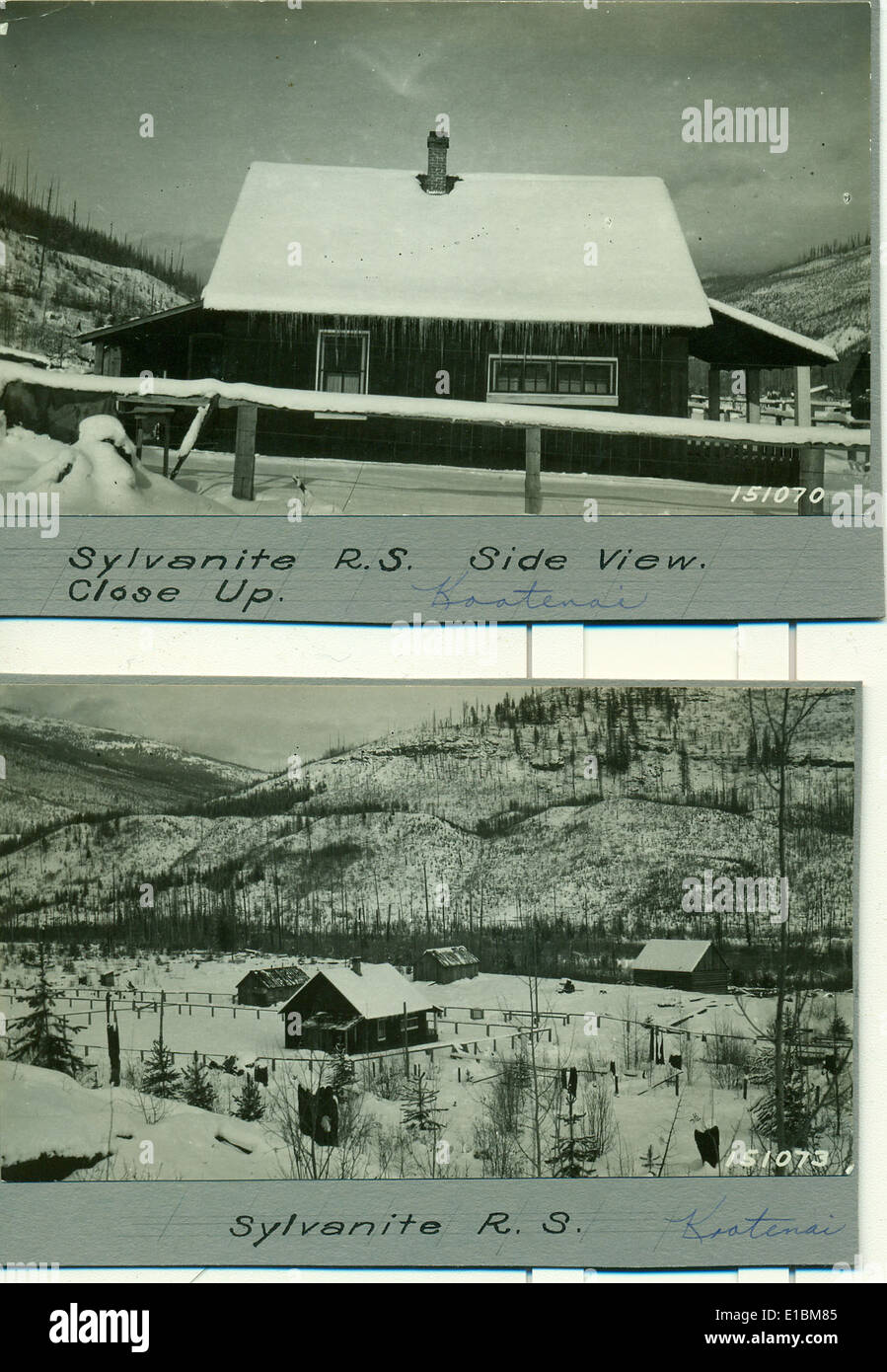 Sylvanite hi-res stock photography and images - Alamy