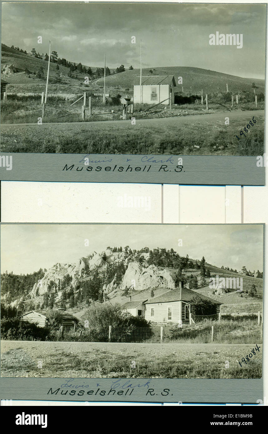 Musselshell hi-res stock photography and images - Alamy