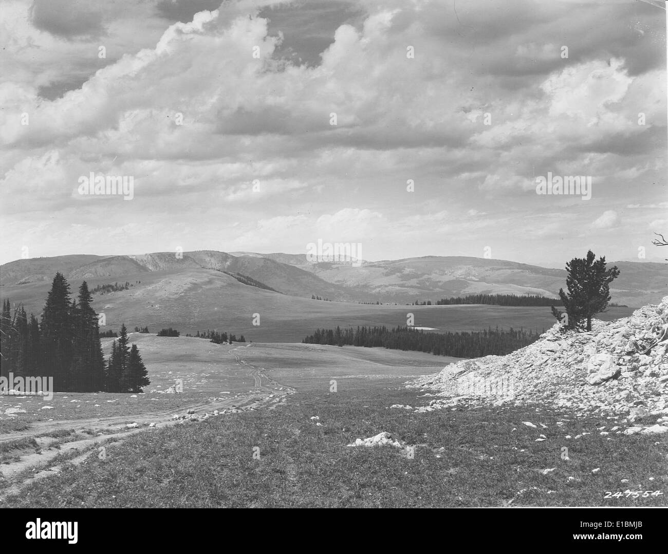 Swan service hi-res stock photography and images - Alamy