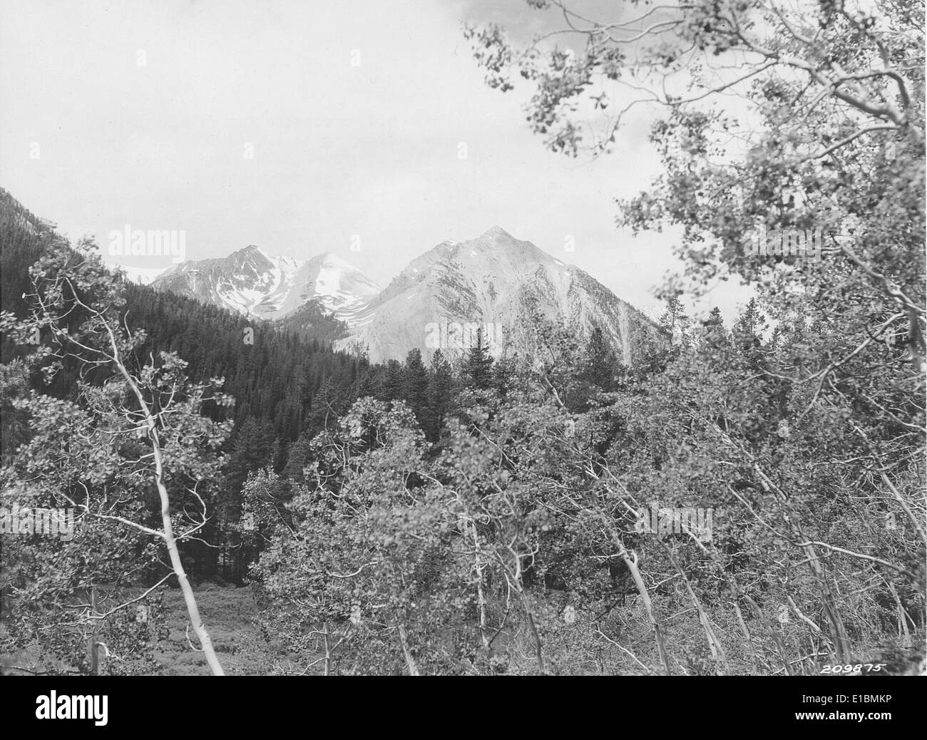 6558 hi-res stock photography and images - Alamy