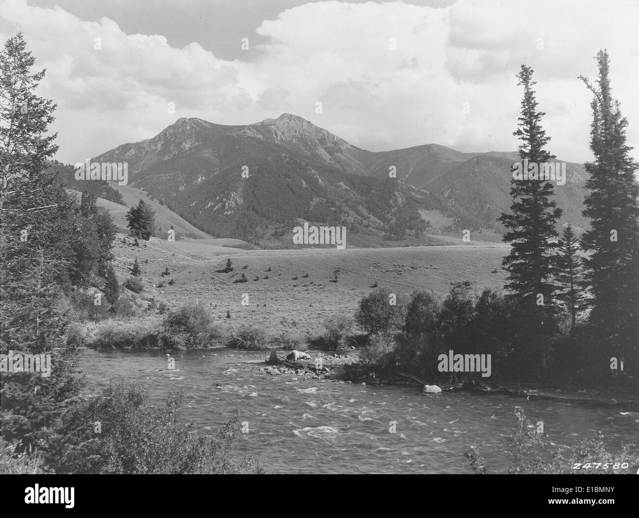 Enabling identification Black and White Stock Photos & Images - Alamy