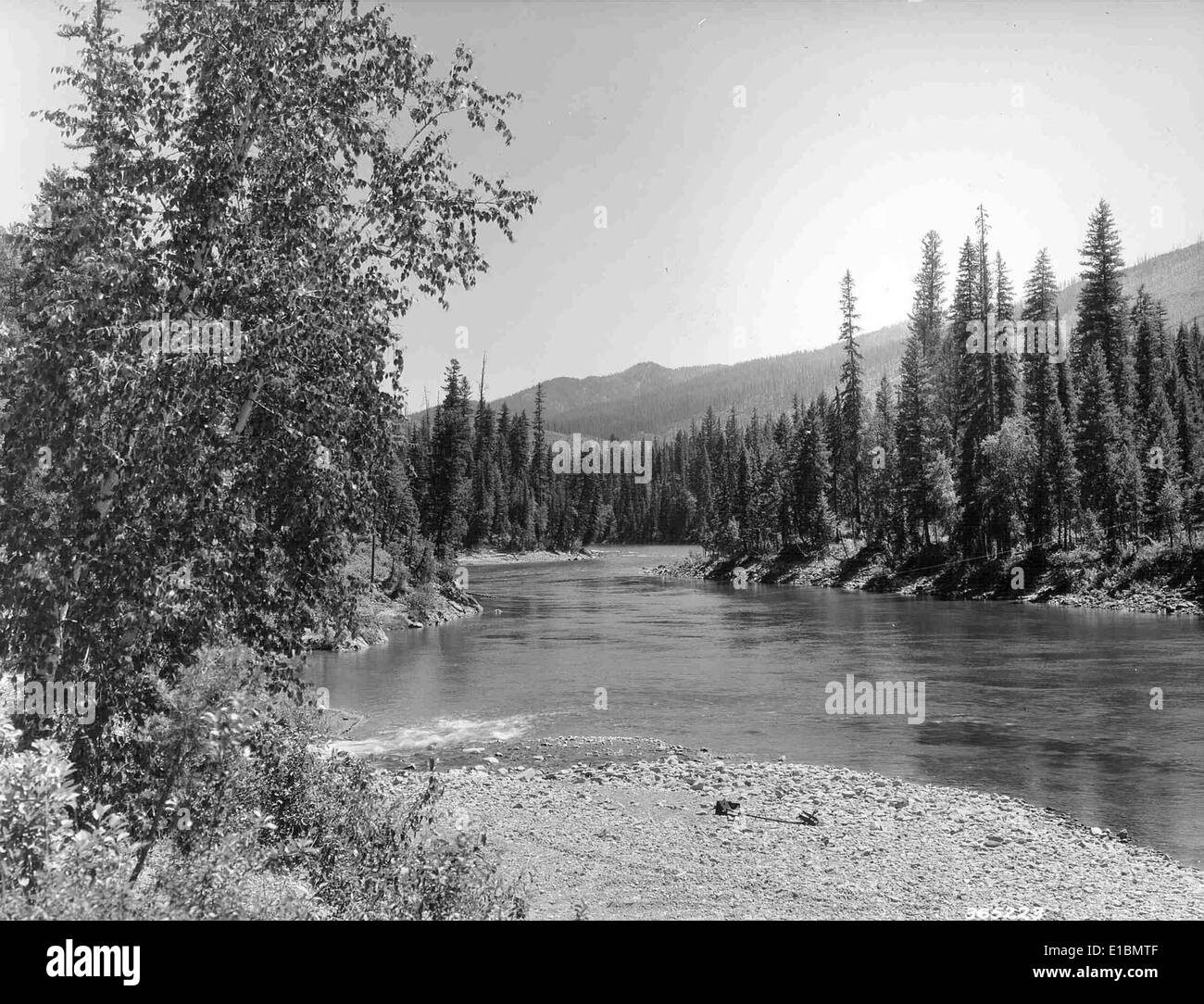 Local bird watching Black and White Stock Photos & Images - Alamy