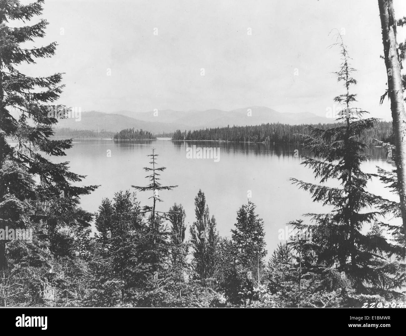 An archival photograph documenting an important moment in forestry ...