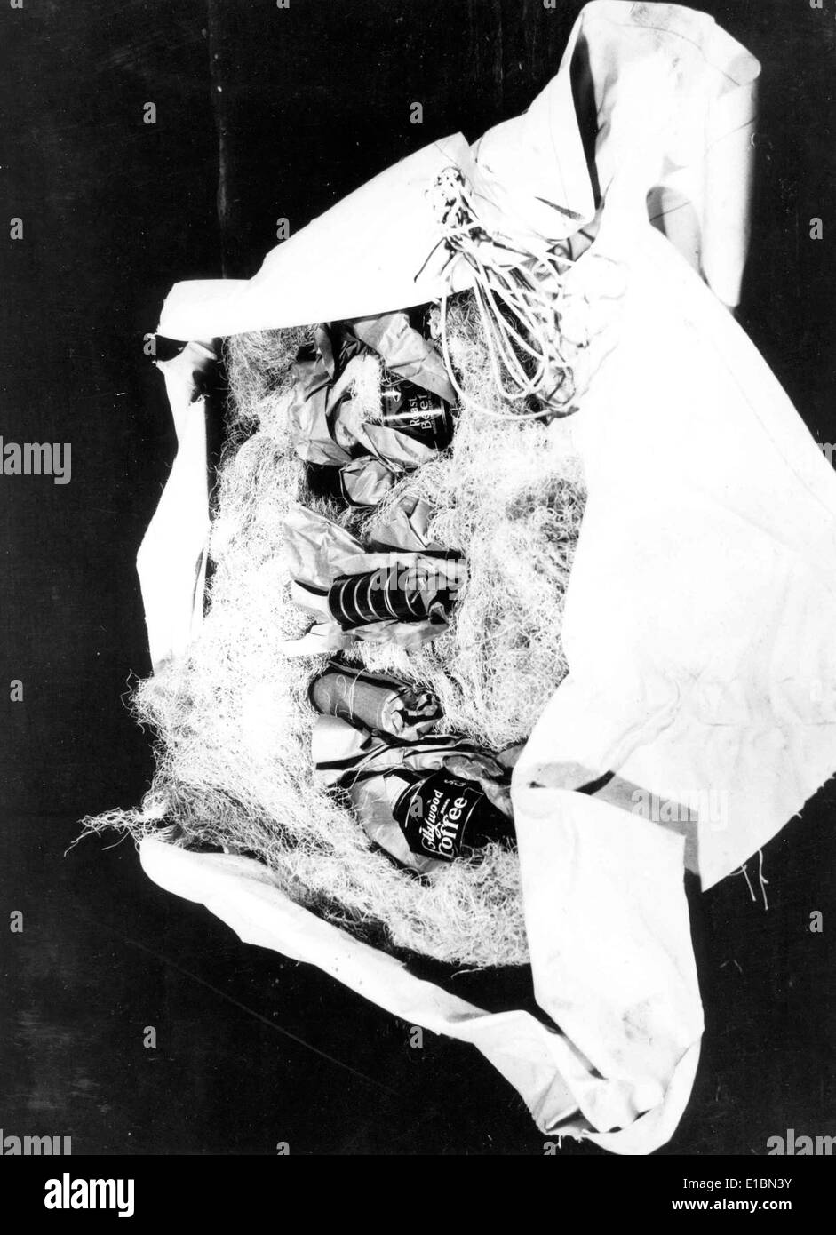 A detailed visual representation of a natural area, showing diverse ...