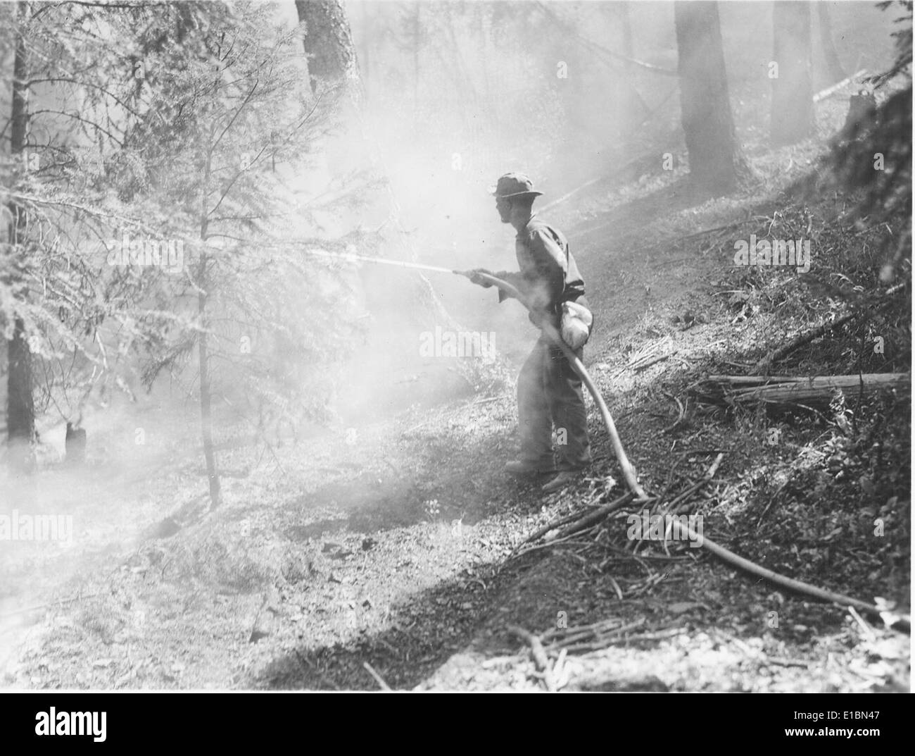 An image depicting the early days of forest management and the ...
