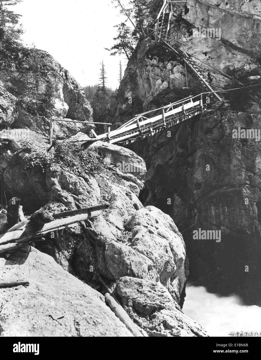 Habitat context Black and White Stock Photos & Images - Alamy