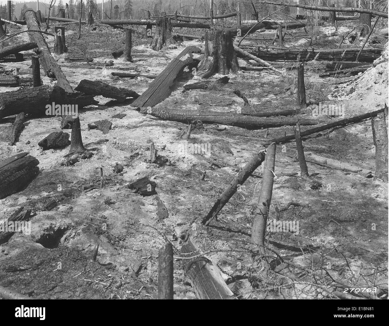 This Is A Reference Number Possibly Related To A Specific Catalog Or Project More Information