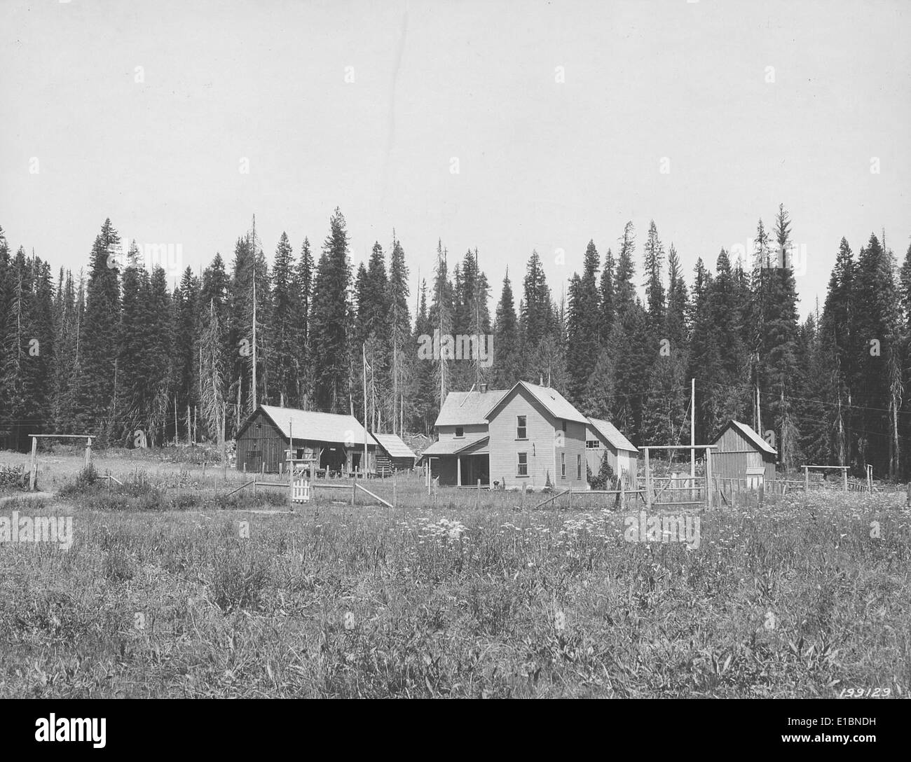 Ice spots Black and White Stock Photos & Images - Alamy