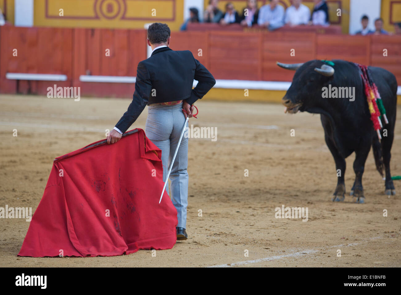 The bullfighter wait the bull charge with the muleta during a bullfight ...