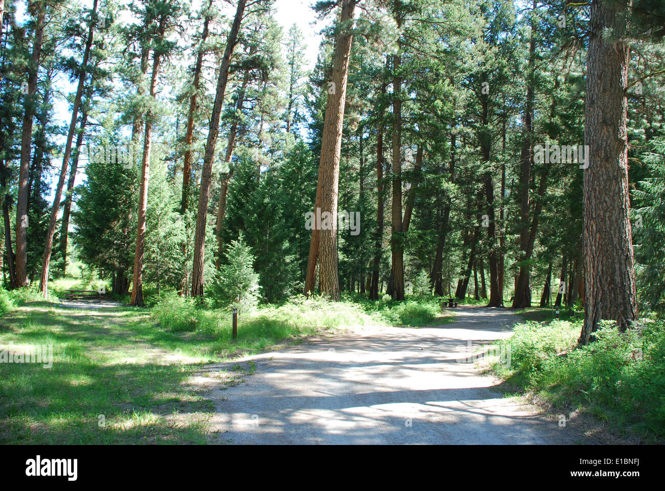West fork campground hi-res stock photography and images - Alamy