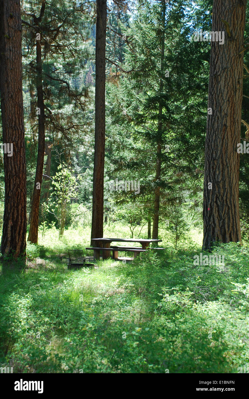 West fork campground hi-res stock photography and images - Alamy