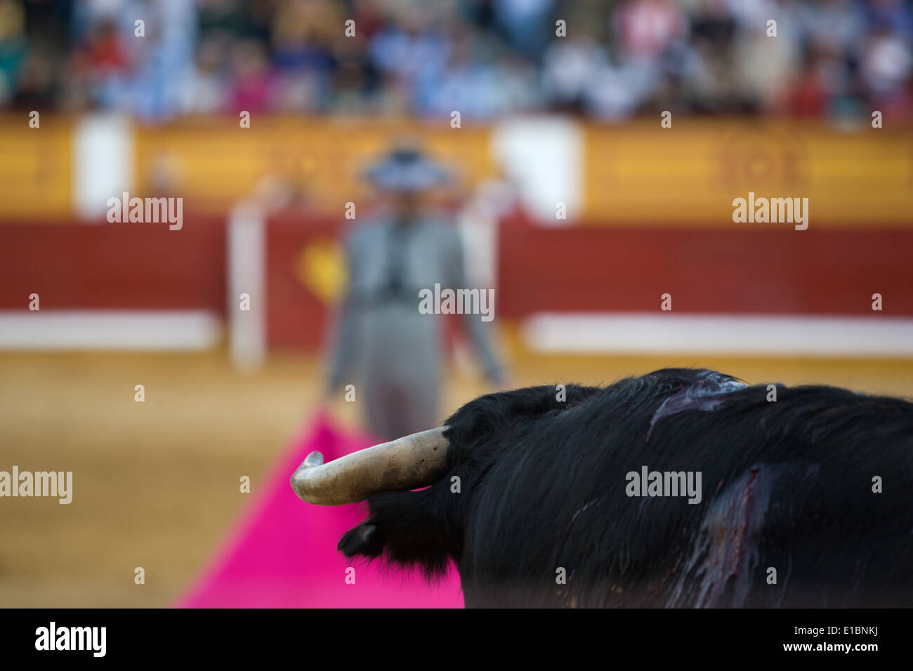 Capote bullfighter during bullfight in hi-res stock photography and ...