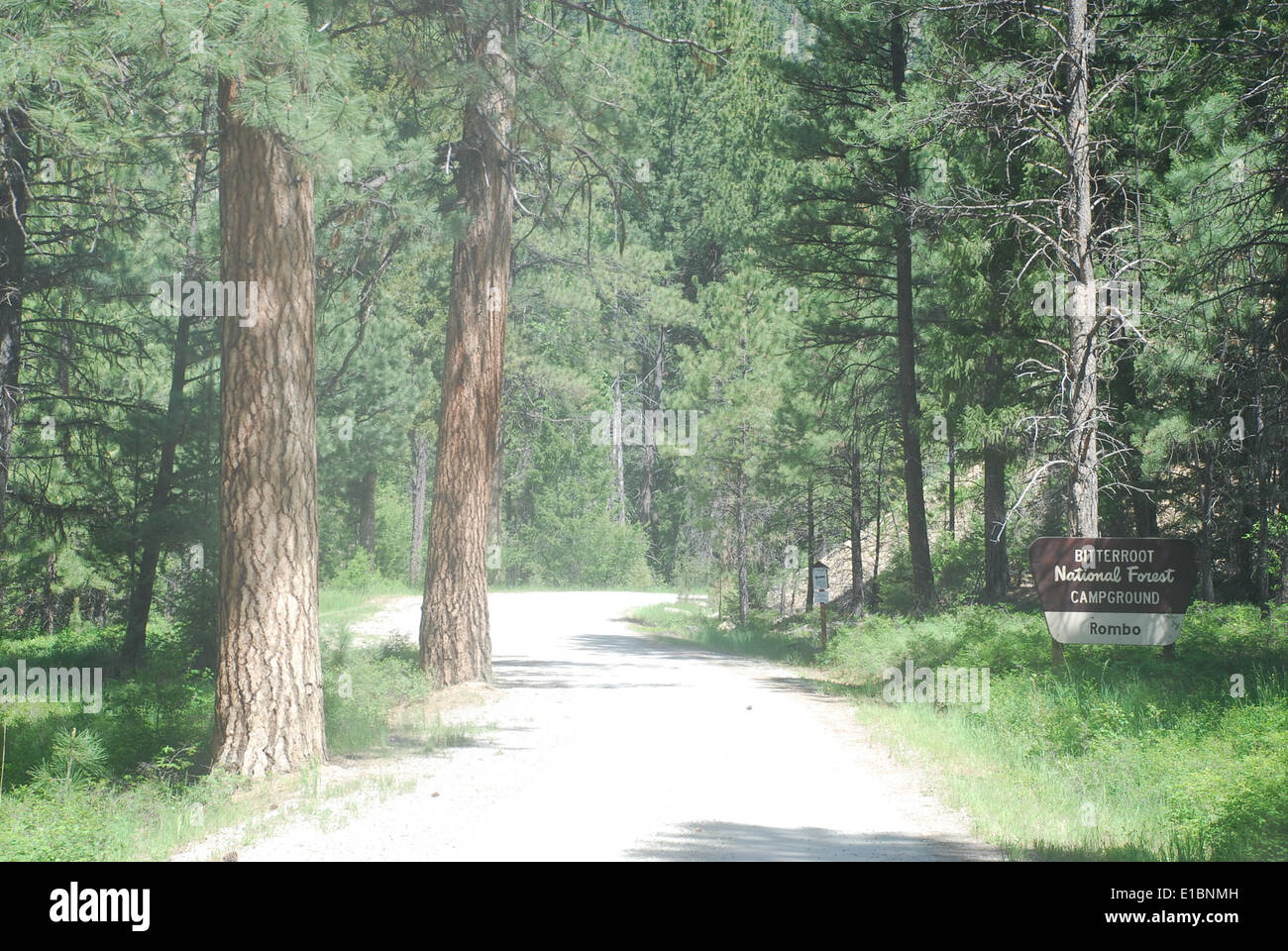 West Fork Campground High Resolution Stock Photography and Images - Alamy