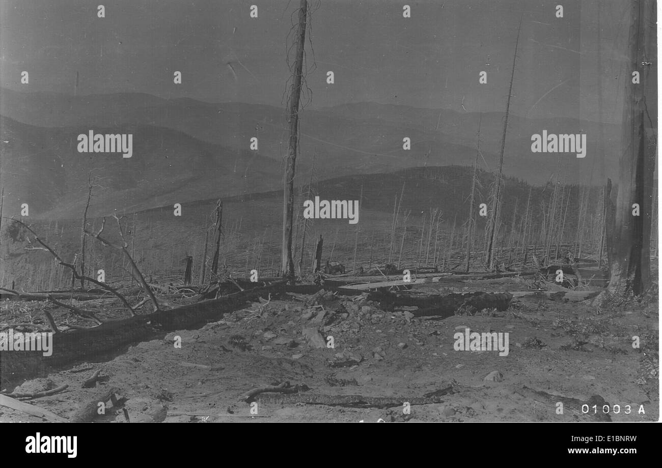 Image 99-588d captures a scene with vivid visual elements, emphasizing ...