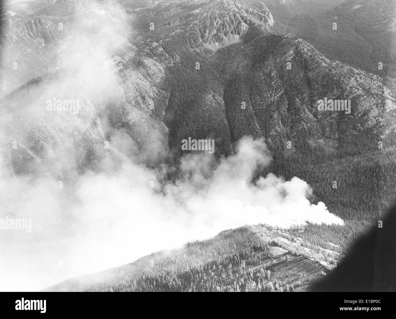 This historical record from the 1950s provides valuable insights into ...