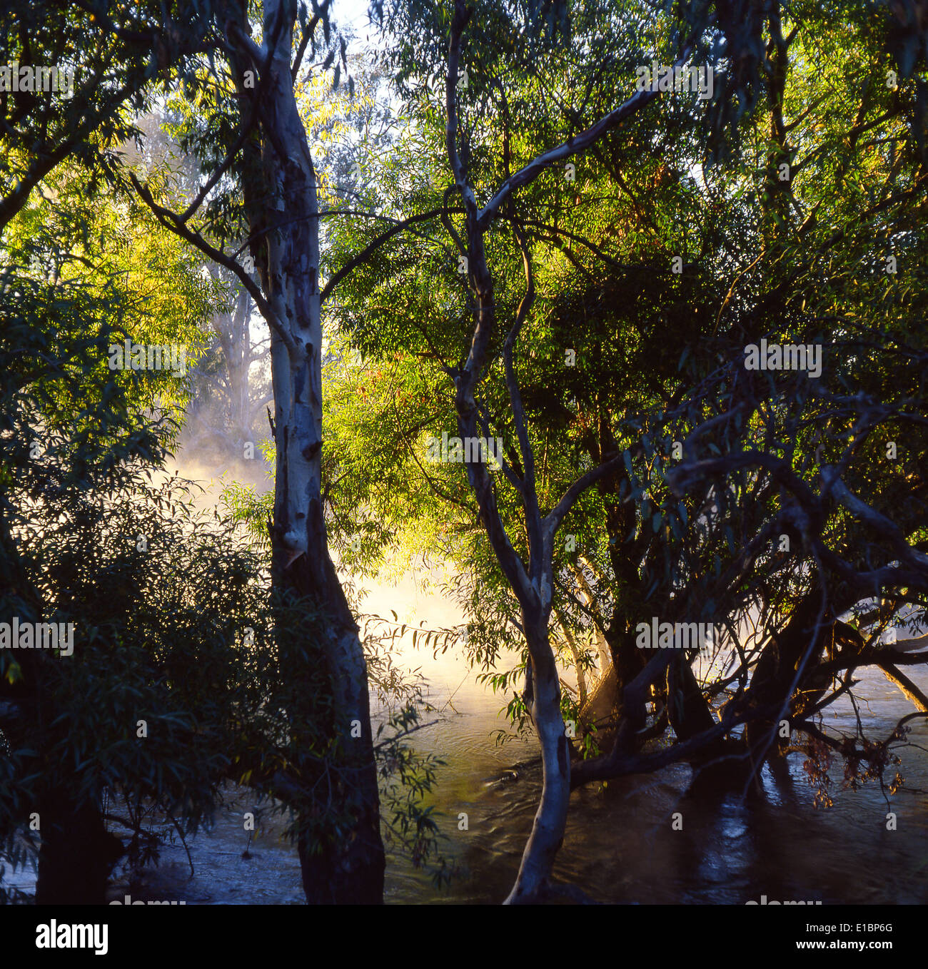 Mist rising off river hi-res stock photography and images - Alamy