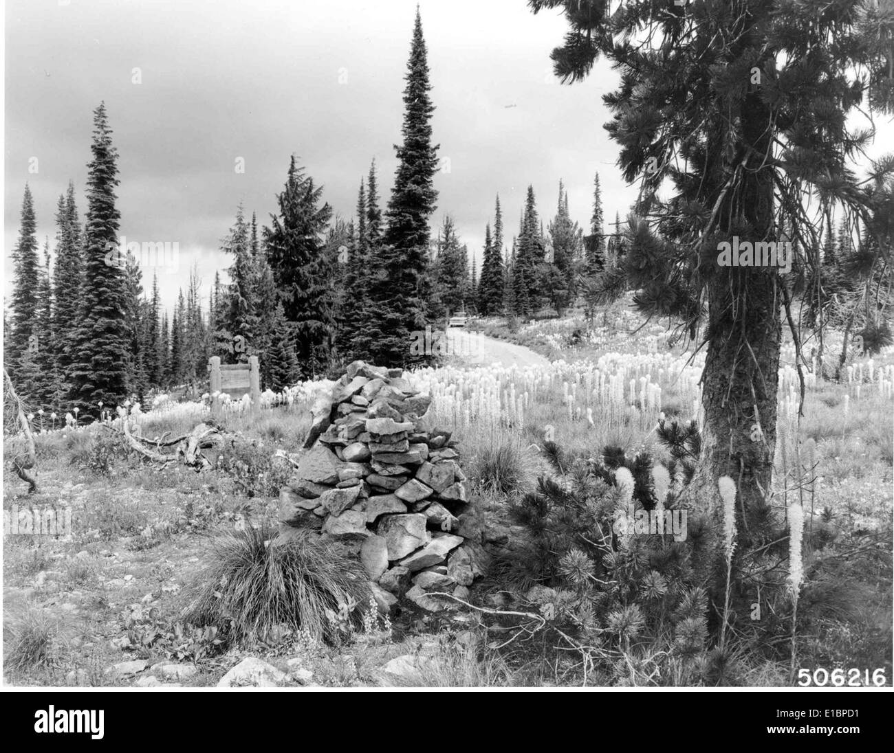Wildlife education materials Black and White Stock Photos & Images - Alamy
