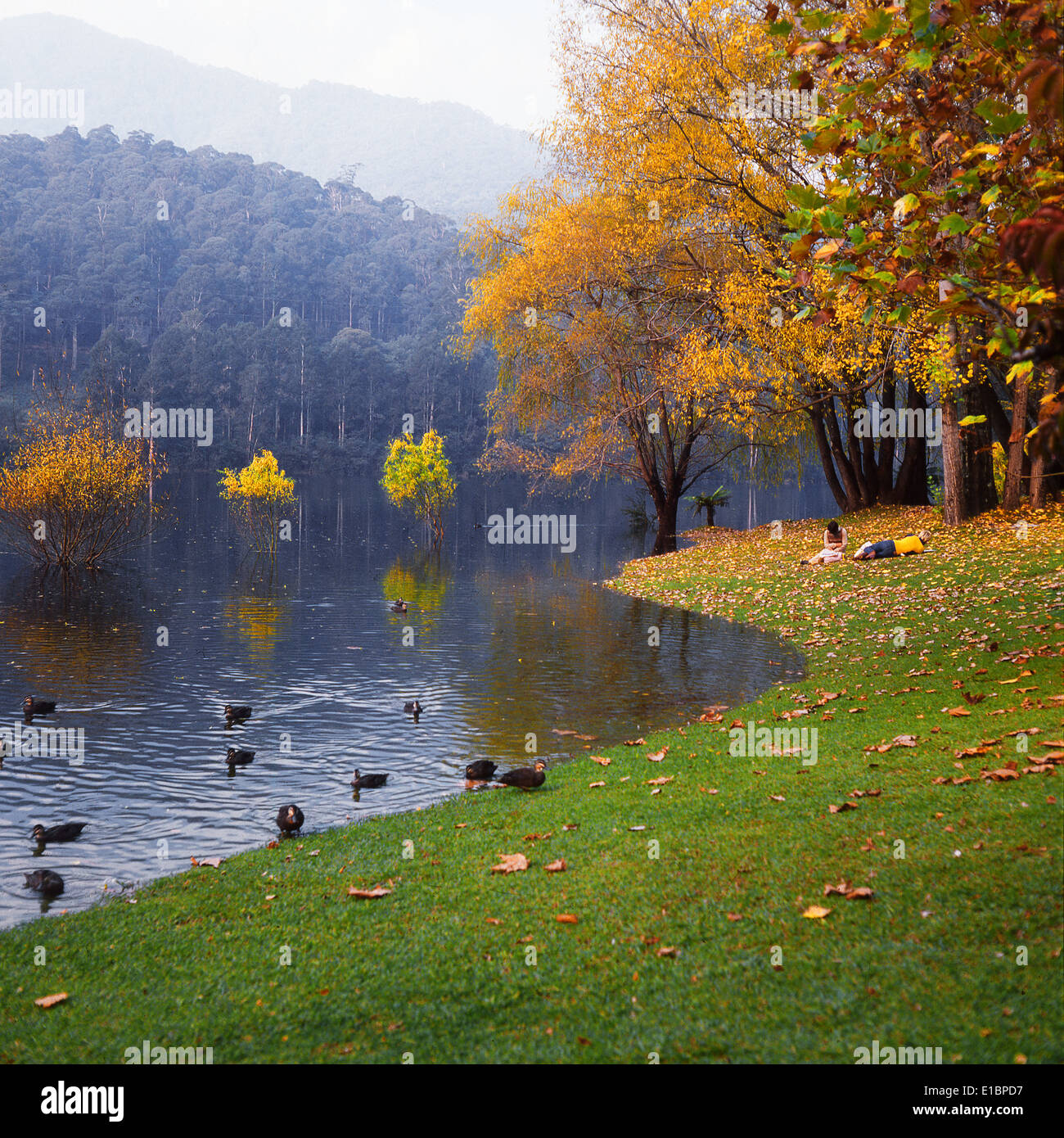 Australia: Junction Dam, Bogong, Victoria Stock Photo - Alamy