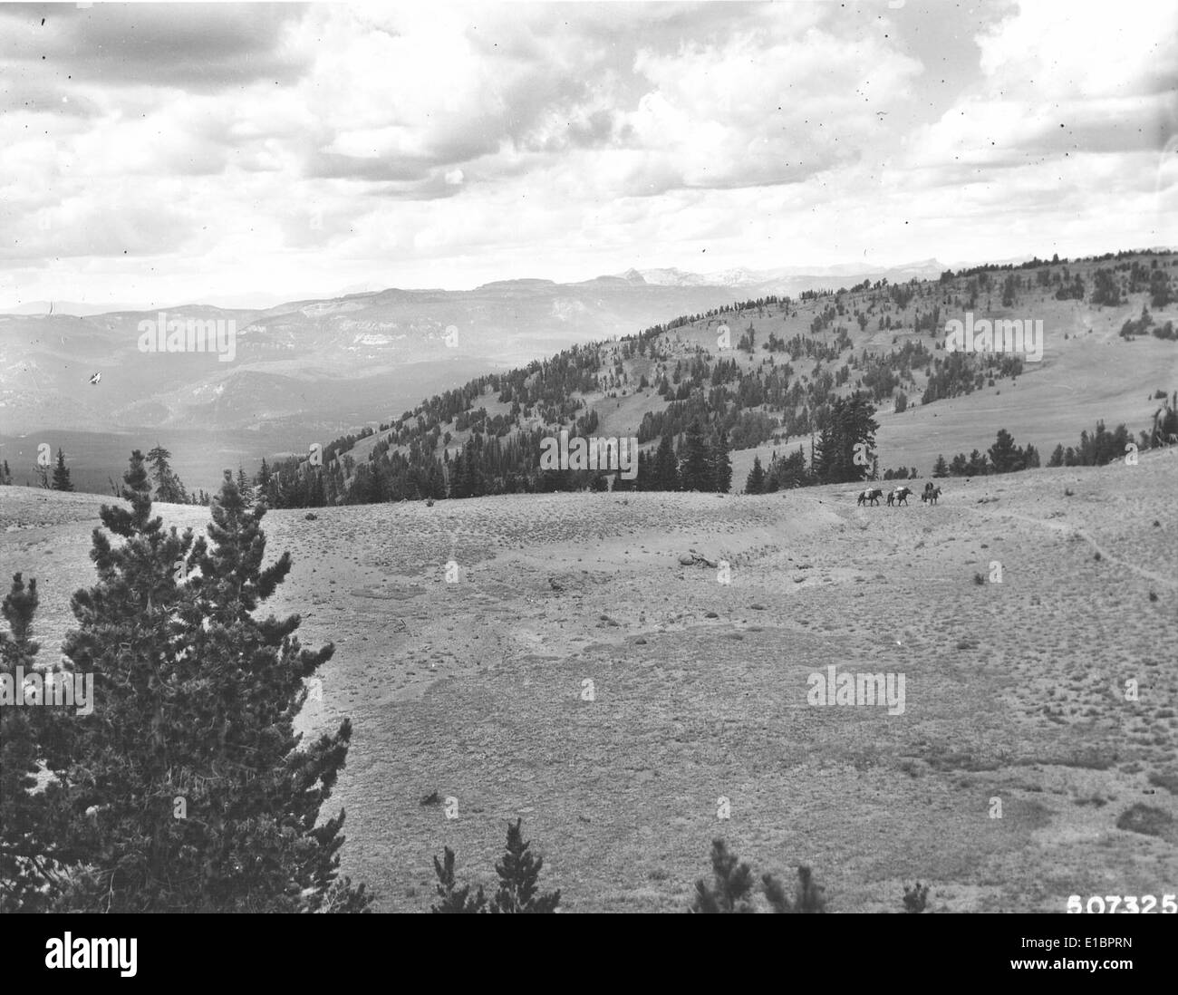 6527 hi-res stock photography and images - Alamy