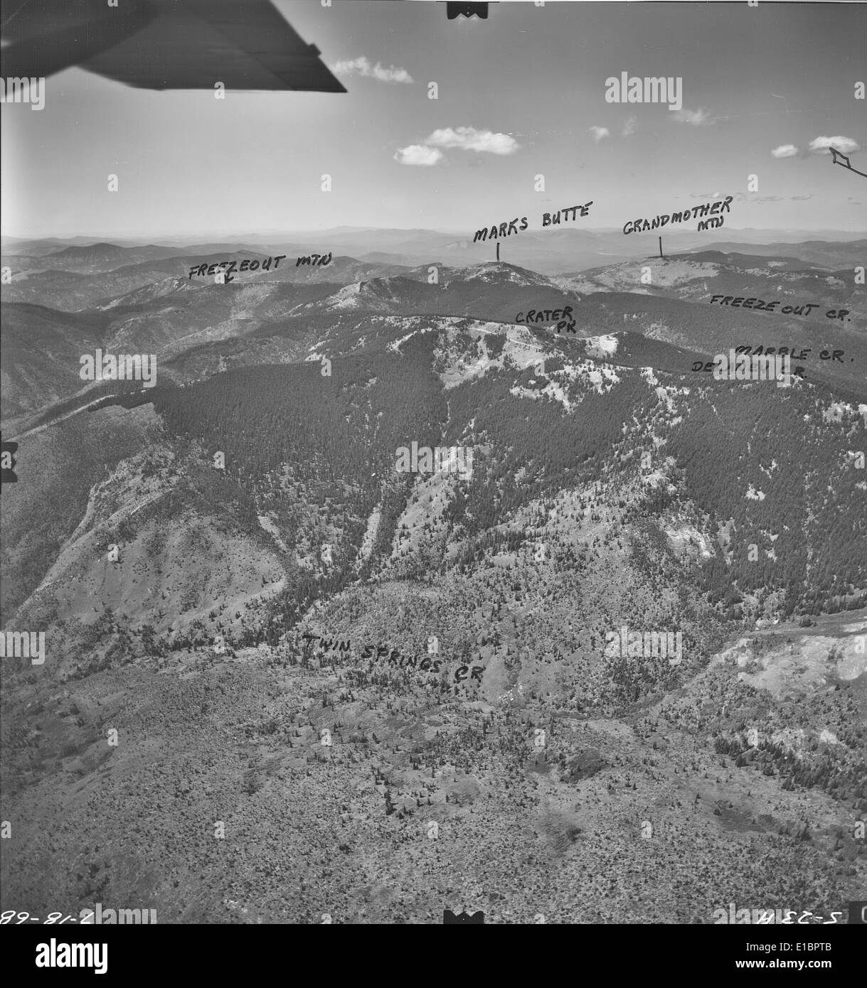 This image captures the catalog number 99-6307, typically referencing ...