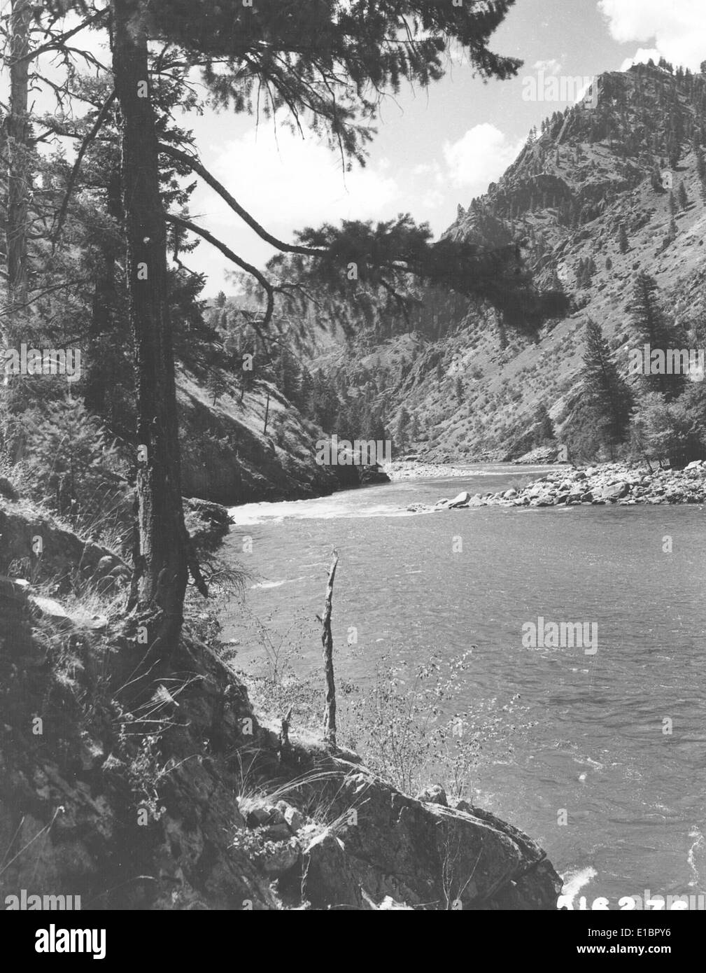 A historic photograph capturing a moment in environmental conservation ...